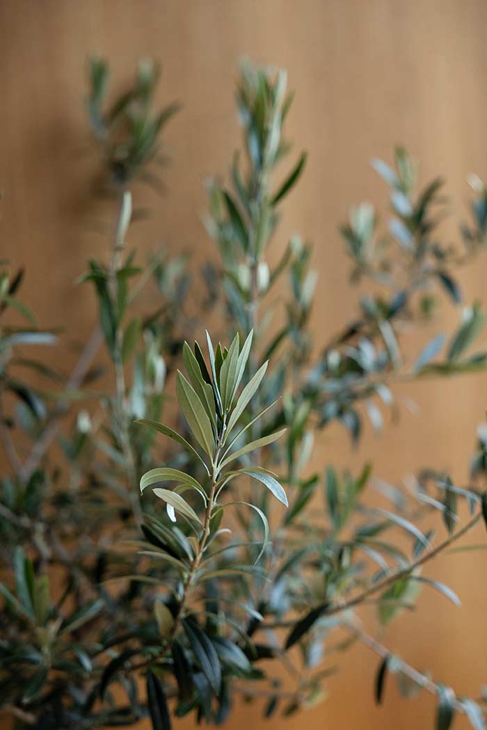 Green – Ekelund